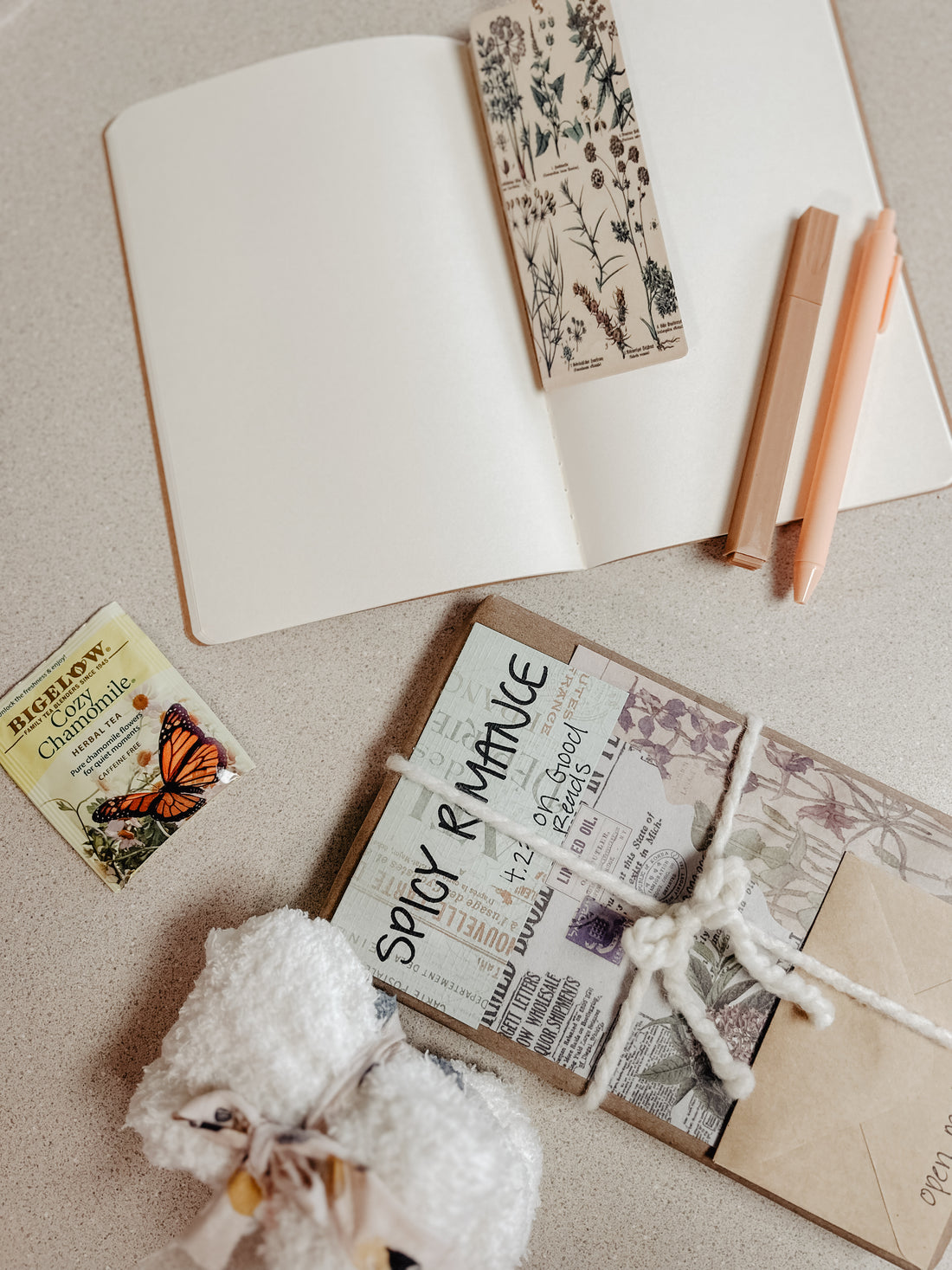 The Original Book Lover’s Box, Blind Date With a Book – The Cozy Book Box